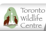 Wildlife Centres :: Ontario Wildlife Rescue